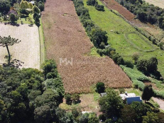 Sítio / Chácara para Venda em Nova Petrópolis/RS Linha Araripe