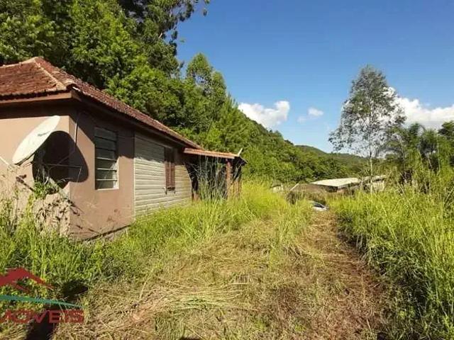 Sítio / Chácara para Venda em Nova Petrópolis/RS Linha Brasil 4 Quartos