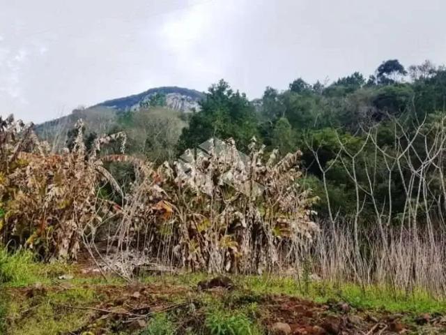 Sítio / Chácara para Venda em Nova Petrópolis/RS Linha Brasil