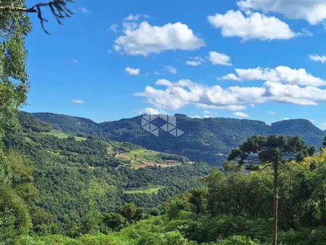 Sítio / Chácara para Venda em Nova Petrópolis/RS Linha Brasil