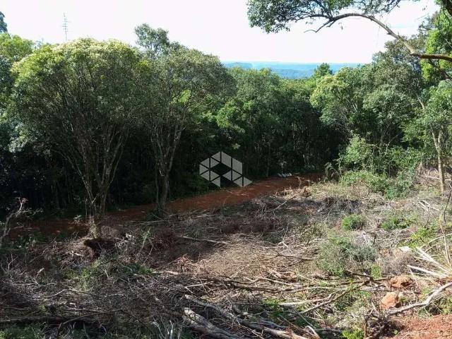 Sítio / Chácara para Venda em Nova Petrópolis/RS Linha Imperial