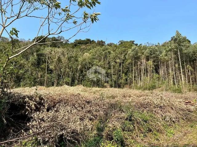 Sítio / Chácara para Venda em Nova Petrópolis/RS Linha Imperial