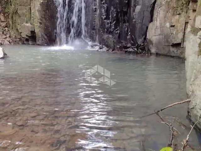 Sítio / Chácara para Venda em Nova Petrópolis/RS Linha Olinda