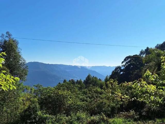Sítio / Chácara para Venda em Nova Petrópolis/RS Linha Pirajá Alta