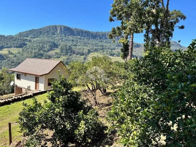 Sítio / Chácara para Venda em Nova Petrópolis/RS Linha Pirajá Baixa 4 Quartos