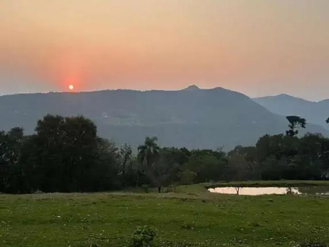 Sítio / Chácara para Venda em Nova Petrópolis/RS Linha Temerária