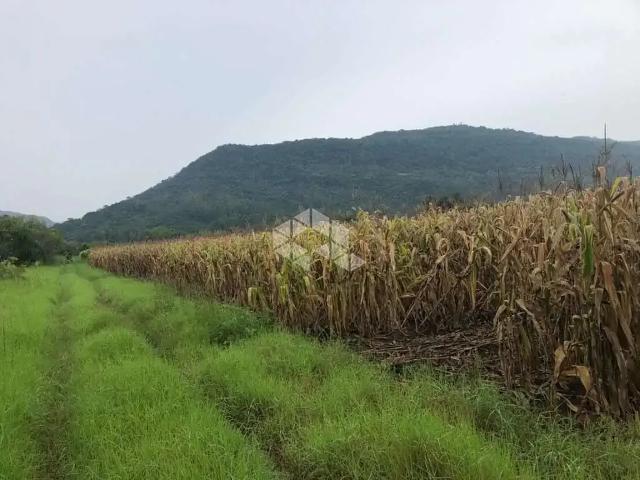 Sítio / Chácara para Venda em Nova Petrópolis/RS Linha Temerária