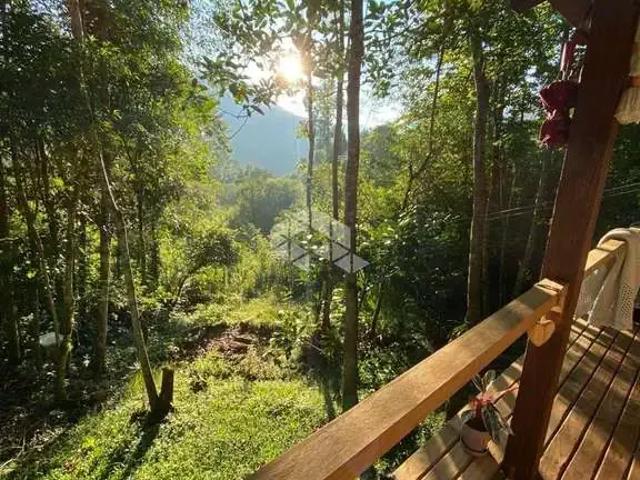 Sítio / Chácara para Venda em Nova Petrópolis/RS São Jacó