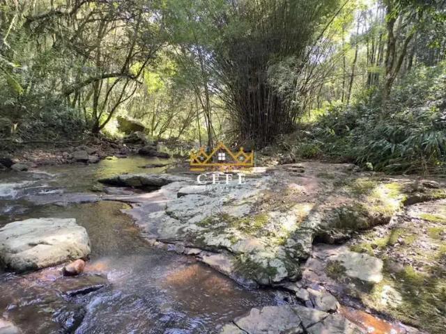 Sítio / Chácara para Venda em Nova Petrópolis/RS São Jacó