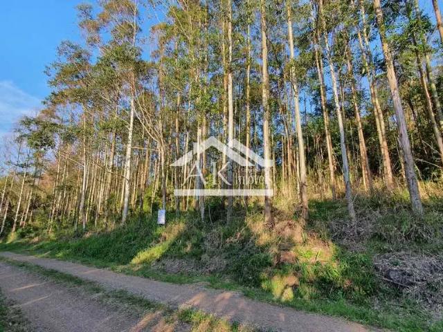 Sítio / Chácara para Venda em Nova Petrópolis/RS Santa Inês 1 Quartos