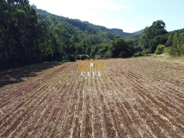 Sítio / Chácara para Venda em Nova Petrópolis/RS Pinhal Alto 1 Quartos