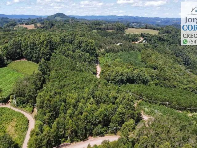 Sítio / Chácara para Venda em Nova Petrópolis/RS Pinhal Alto