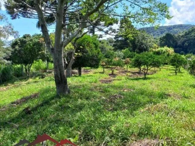 Sítio / Chácara para Venda em Nova Petrópolis/RS Pinhal Alto
