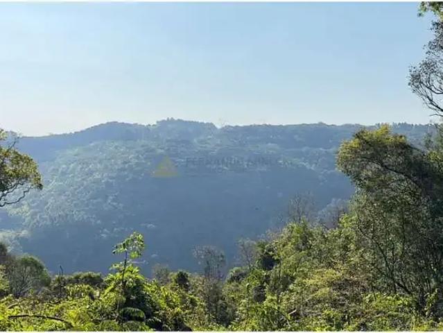 Sítio / Chácara para Venda em Nova Petrópolis/RS Treze Colonias