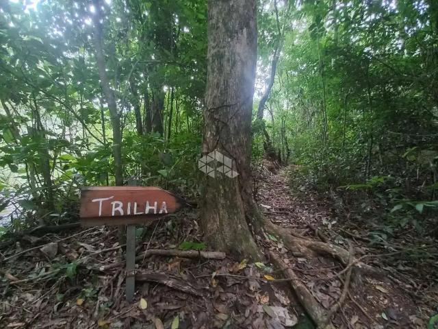 Sítio / Chácara para Venda em Nova Petrópolis/RS Treze Colonias
