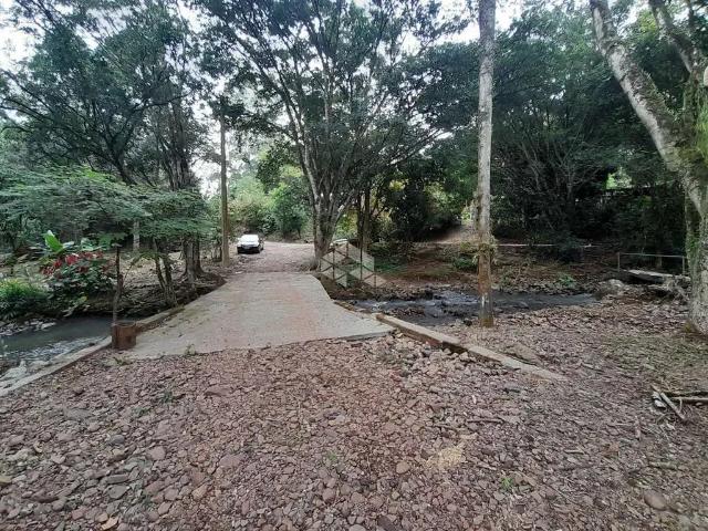 Sítio / Chácara para Venda em Nova Petrópolis/RS Vila Germania