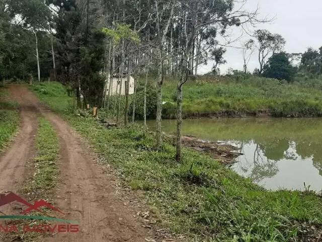 Sítio / Chácara para Venda em Nova Petrópolis/RS Vila Germania 2 Quartos