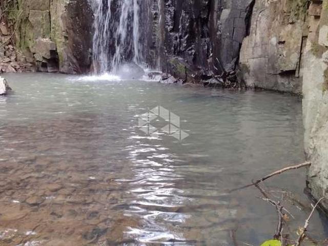 Sítio / Chácara para Venda em Nova Petrópolis/RS Vila Olinda