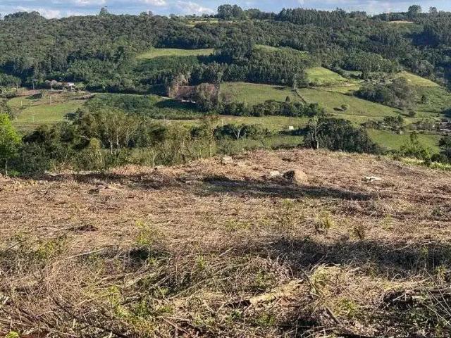 Sítio / Chácara para Venda em Nova Petrópolis/RS Zona Rural