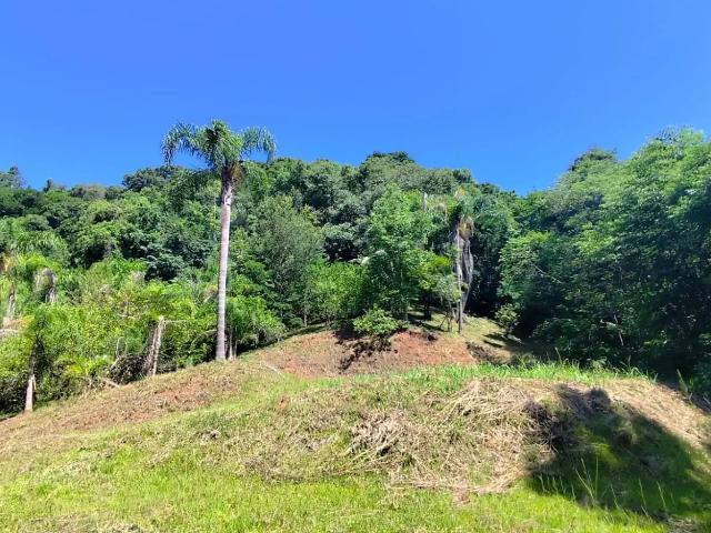 Sítio / Chácara para Venda em Nova Petrópolis/RS Zona Rural