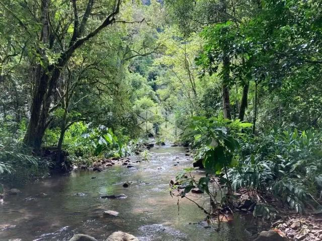 Sítio / Chácara para Venda em Nova Petrópolis/RS Zona Rural