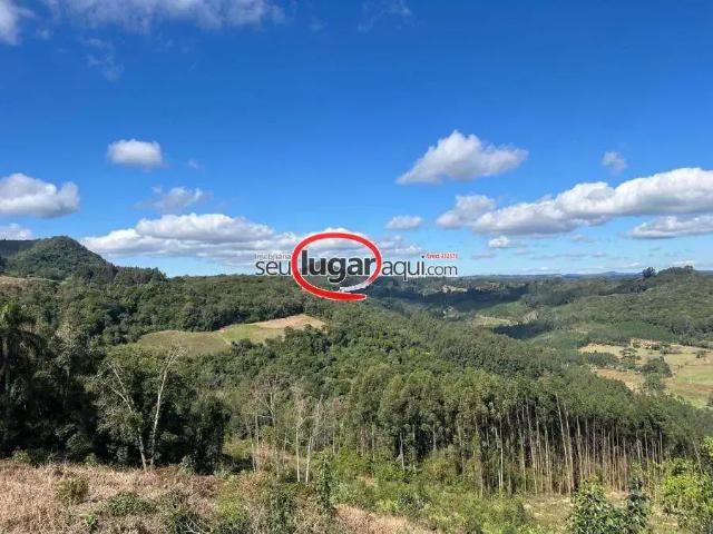 Sítio / Chácara para Venda em Nova Petrópolis/RS Zona Rural
