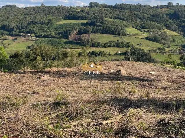Sítio / Chácara para Venda em Nova Petrópolis/RS Zona Rural