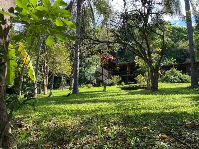 Sítio / Chácara para Venda em Nova Petrópolis/RS Zona Rural 1 Quartos