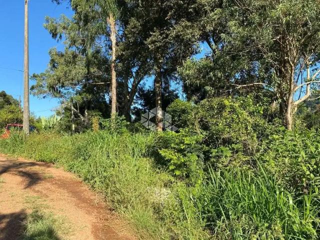 Sítio / Chácara para Venda em Nova Petrópolis/RS Zona Rural