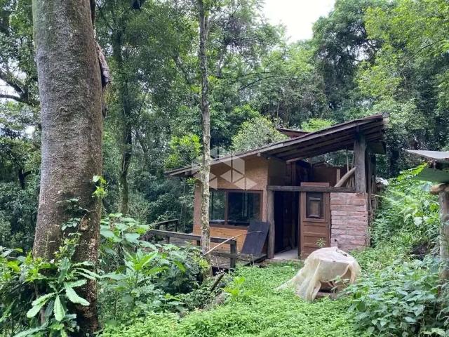 Sítio / Chácara para Venda em Nova Petrópolis/RS Zona Rural