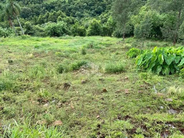 Sítio / Chácara para Venda em Nova Petrópolis/RS Zona Rural