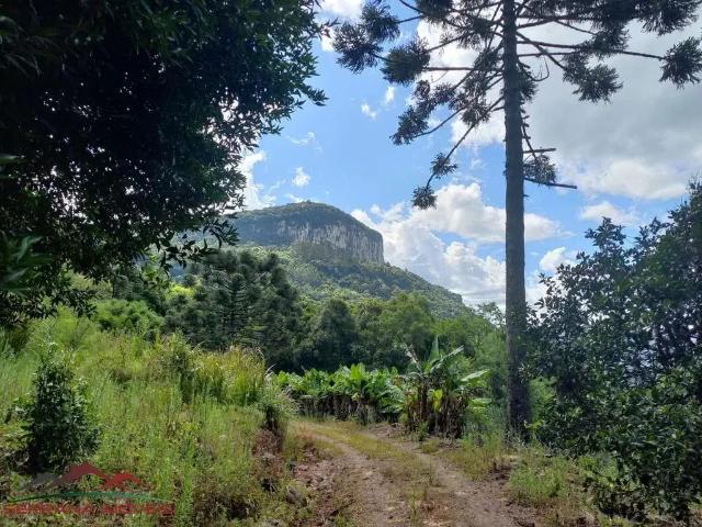 Sítio / Chácara para Venda em Nova Petrópolis/RS Zona Rural 2 Quartos