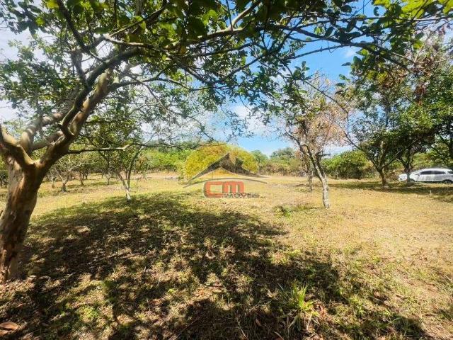 Sítio / Chácara para Venda em Nova Santa Rita/RS Caju