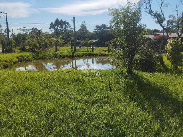 Sítio / Chácara para Venda em Nova Santa Rita/RS Centro