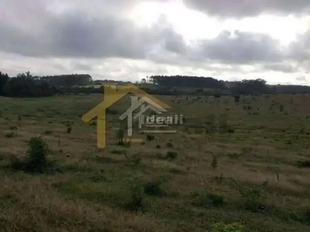 Sítio / Chácara para Venda em Nova Santa Rita/RS Berto Círio 1 Quartos