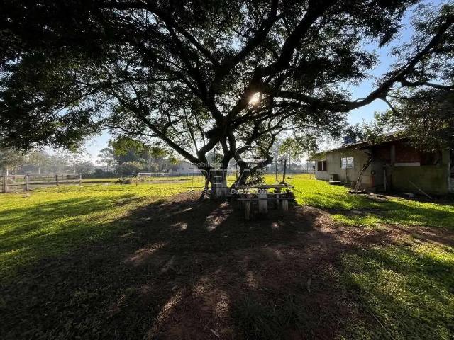 Sítio / Chácara para Venda em Nova Santa Rita/RS Sanga Funda 2 Quartos