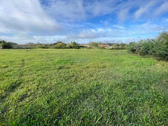 Sítio / Chácara para Venda em Nova Santa Rita/RS Sanga Funda