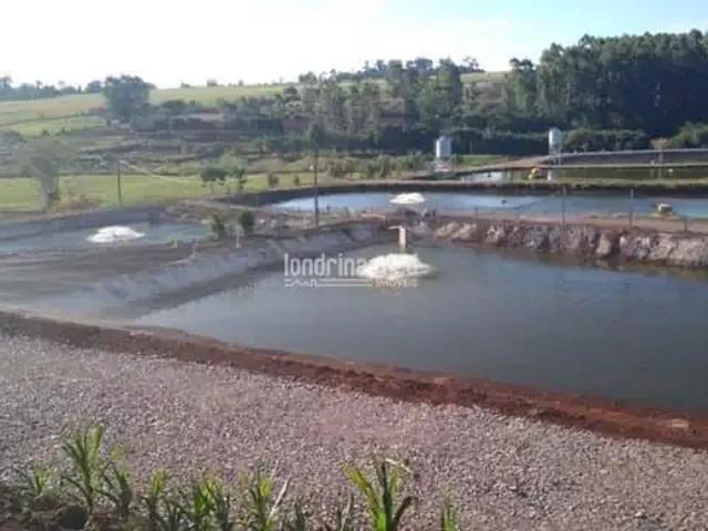 Sítio / Chácara para Venda em Nova Santa Rosa/PR Zona Rural