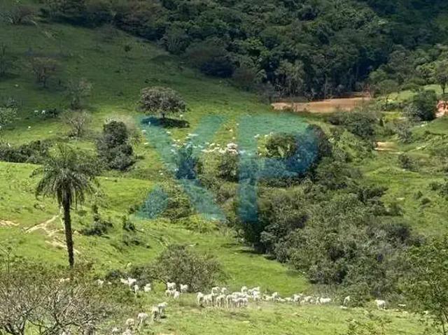 Sítio / Chácara para Venda em Nova Serrana/MG Zona Rural 2 Quartos