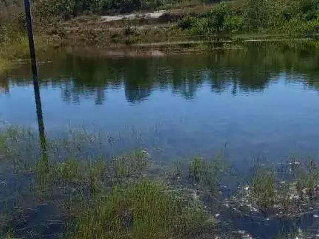 Sítio / Chácara para Venda em Novo Acordo/TO Zona Rural