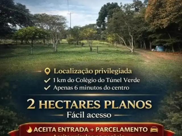 Sítio / Chácara para Venda em Novo Hamburgo/RS Lomba Grande