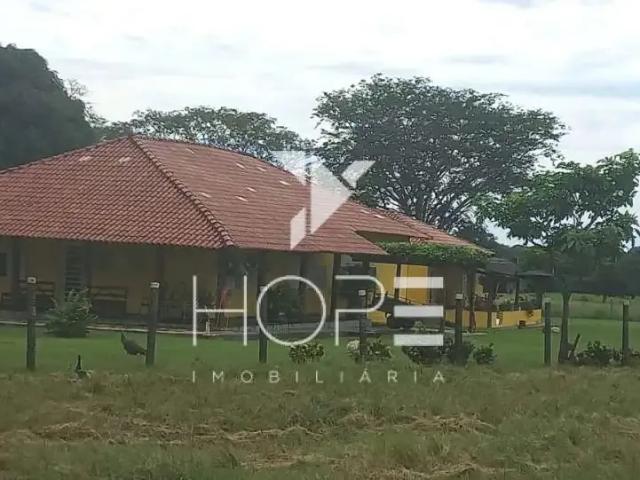 Sítio / Chácara para Venda em Novo Mundo/MT Zona Rural