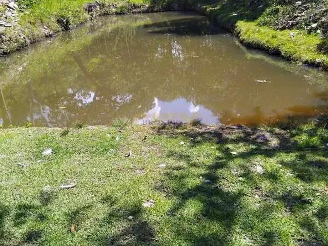 Sítio / Chácara para Venda em Nossa Senhora do Livramento/MT Zona Rural 4 Quartos