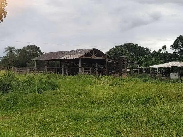 Sítio / Chácara para Venda em Nossa Senhora do Livramento/MT Zona Rural
