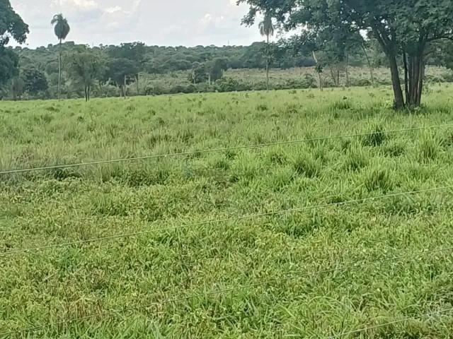 Sítio / Chácara para Venda em Nossa Senhora do Livramento/MT Zona Rural 2 Quartos