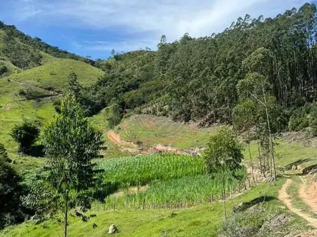 Sítio / Chácara para Venda em Natividade da Serra/SP Centro 4 Quartos
