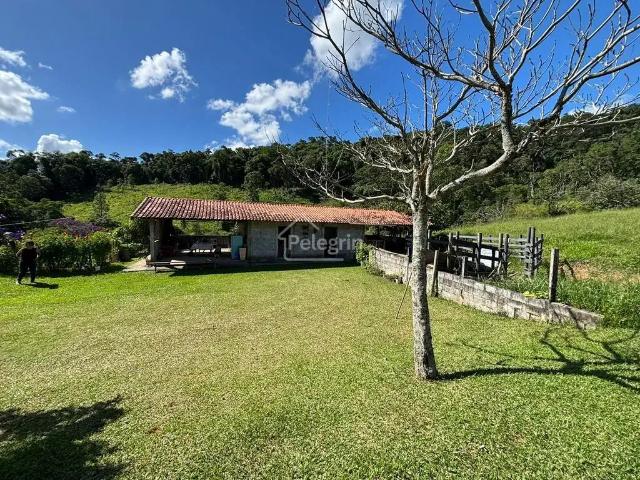 Sítio / Chácara para Venda em Nazaré Paulista/SP Vicente Nunes 1 Quartos