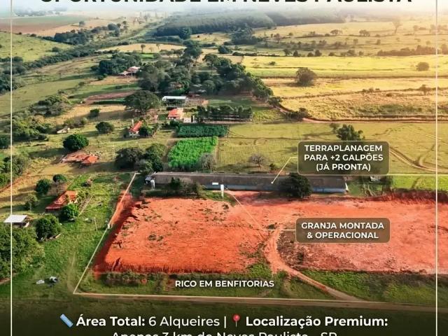 Sítio / Chácara para Venda em Neves Paulista/SP Zona Rural 2 Quartos