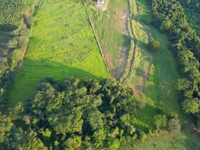 Sítio / Chácara para Venda em Neves Paulista/SP Zona Rural 3 Quartos