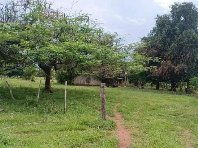 Sítio / Chácara para Venda em Nioaque/MS Centro